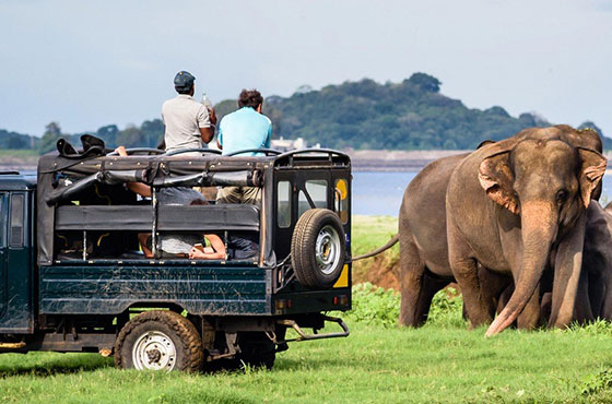 Two Days One Night Tours – Ceylon Infinity Tours